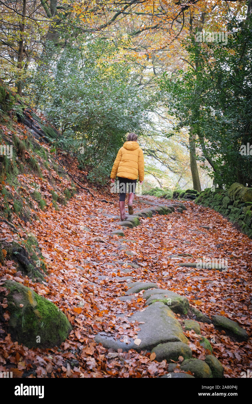 Hardcastle Crags, Hebden Bridge, Calderdale, West Yorkshire Stock Photo ...