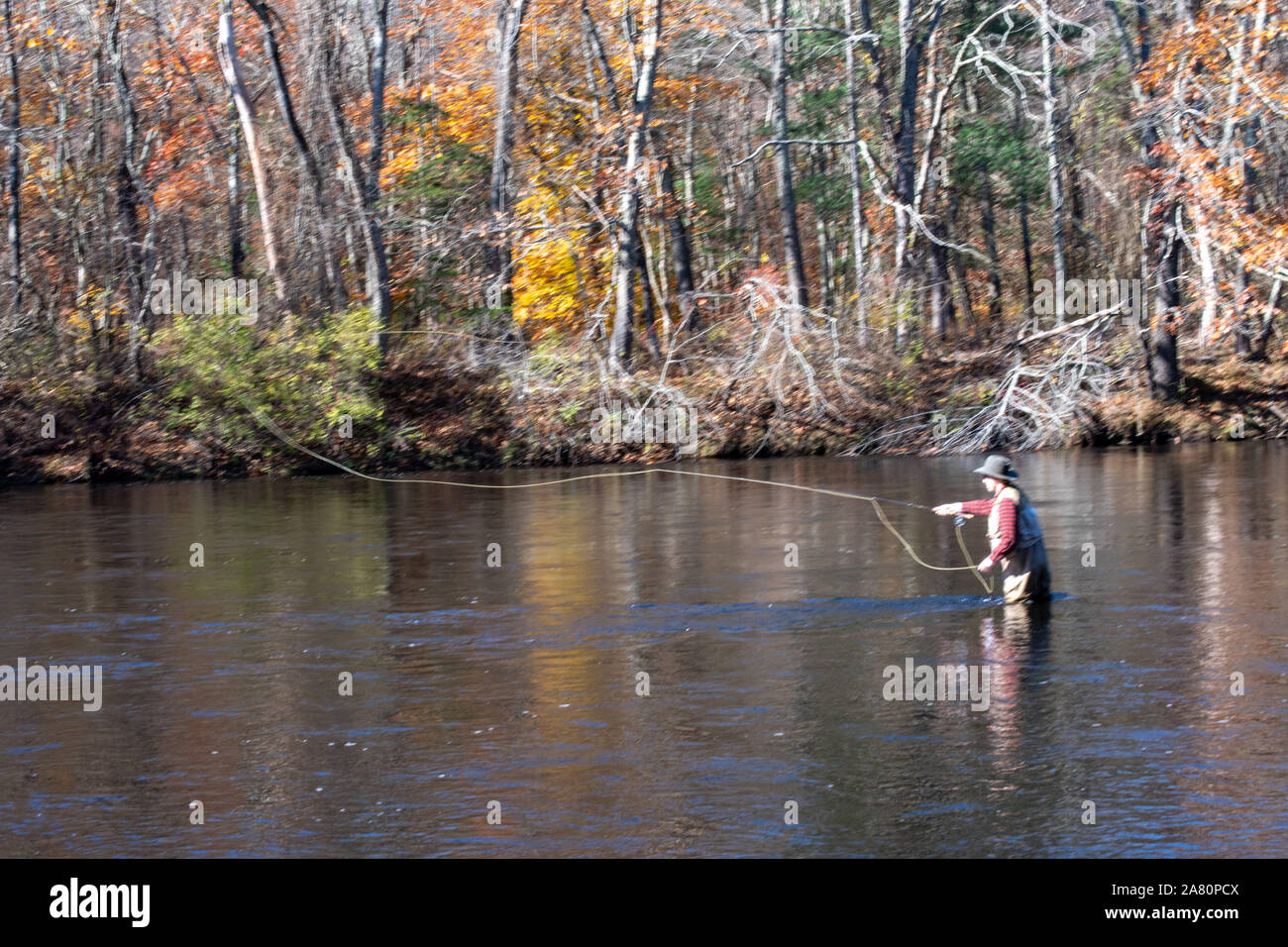 Atlantic salmon and fishing hi-res stock photography and images - Alamy