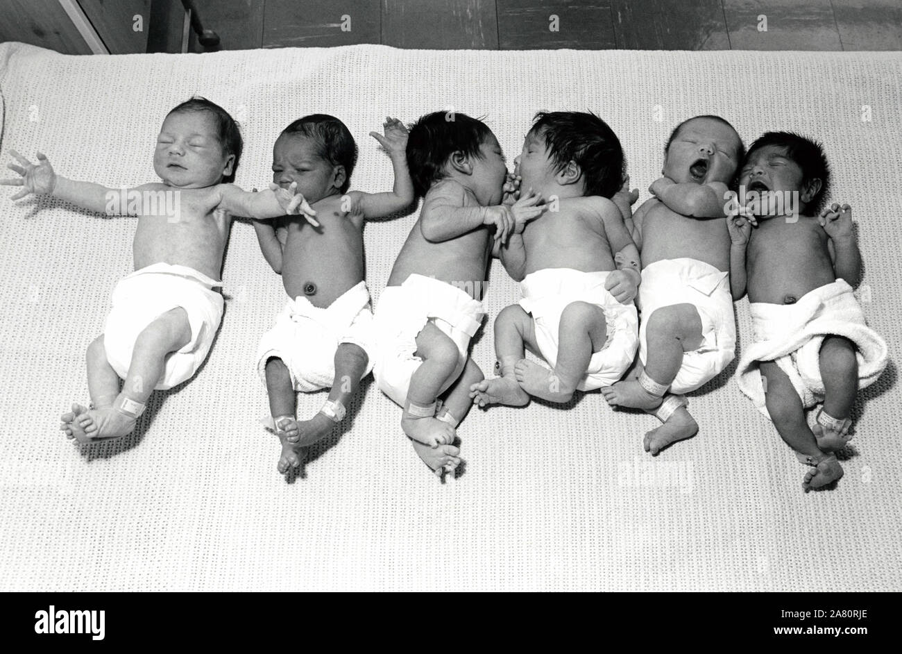 Newborn babies, City Hospital, Nottingham, UK 1990 Stock Photo - Alamy