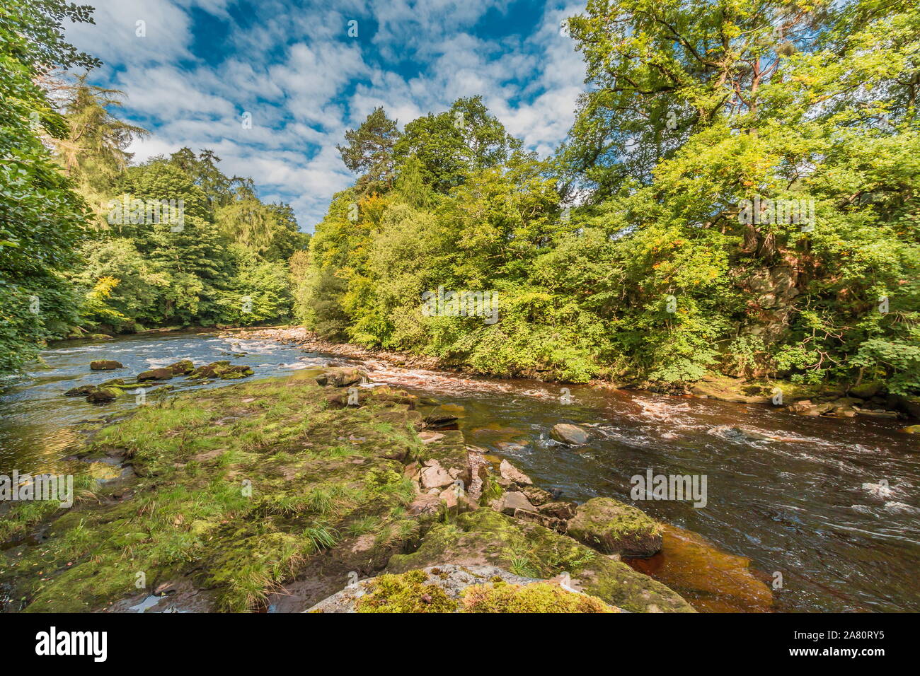 Durham riverbank hi-res stock photography and images - Alamy