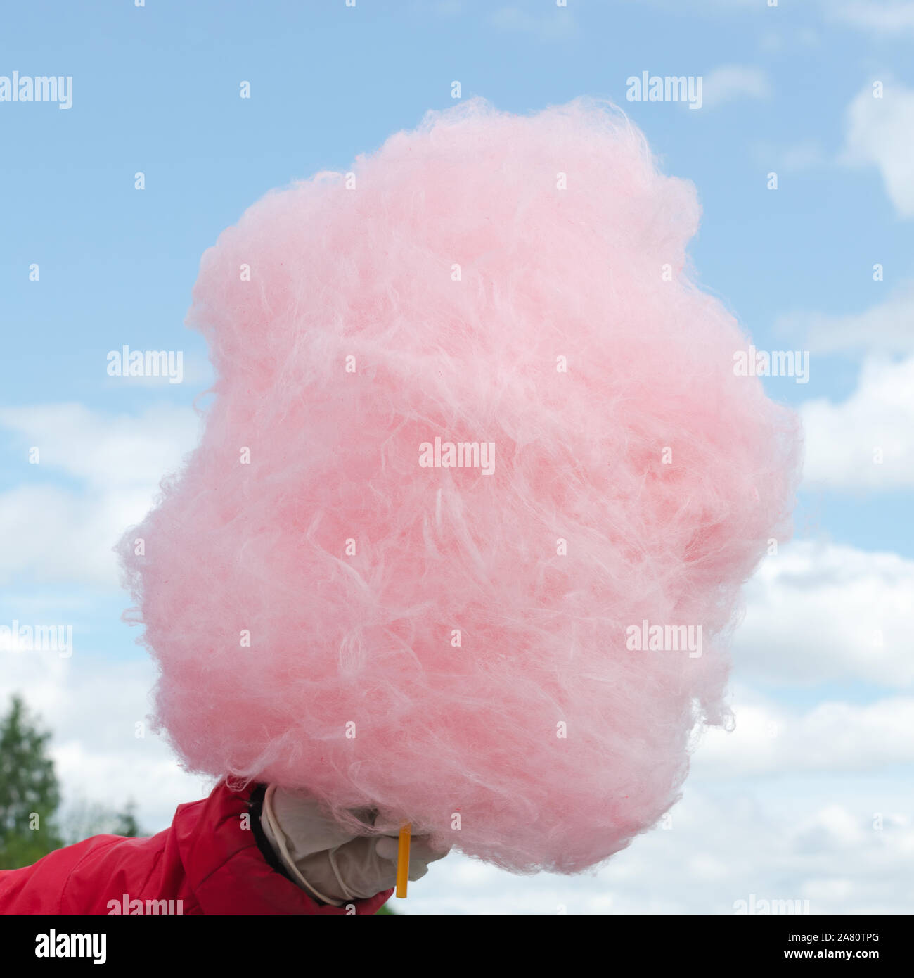 Sugar cotton wool on a stick in hand Stock Photo - Alamy