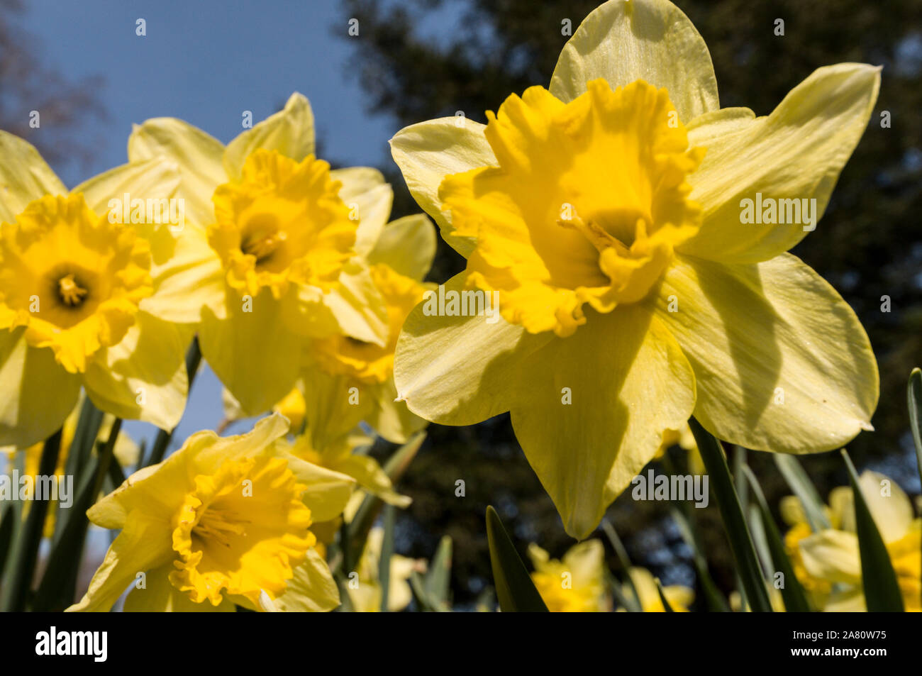 Spring weather britain hi-res stock photography and images - Alamy