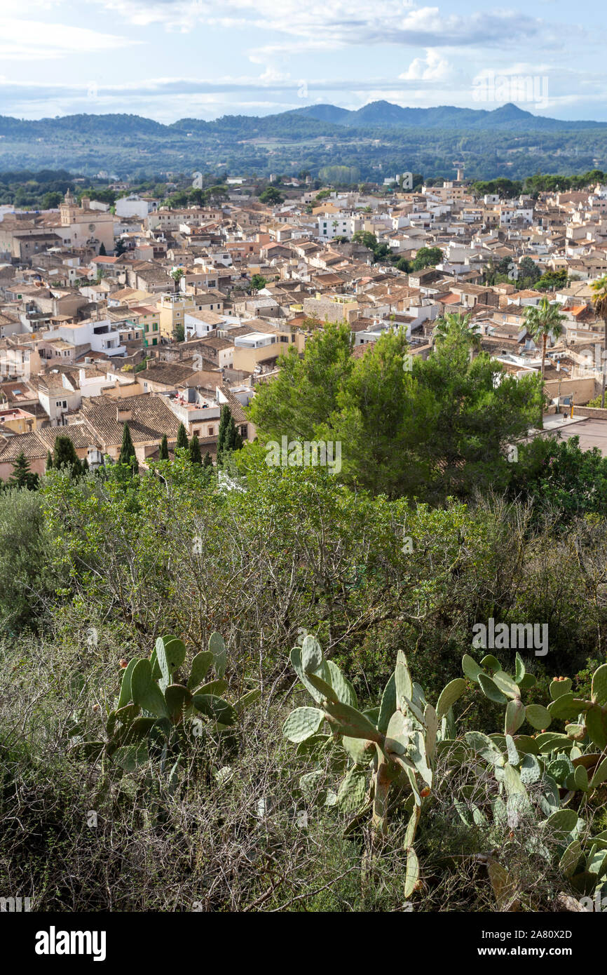 View from castle San Salvador over the city of Arta at the east coast ...