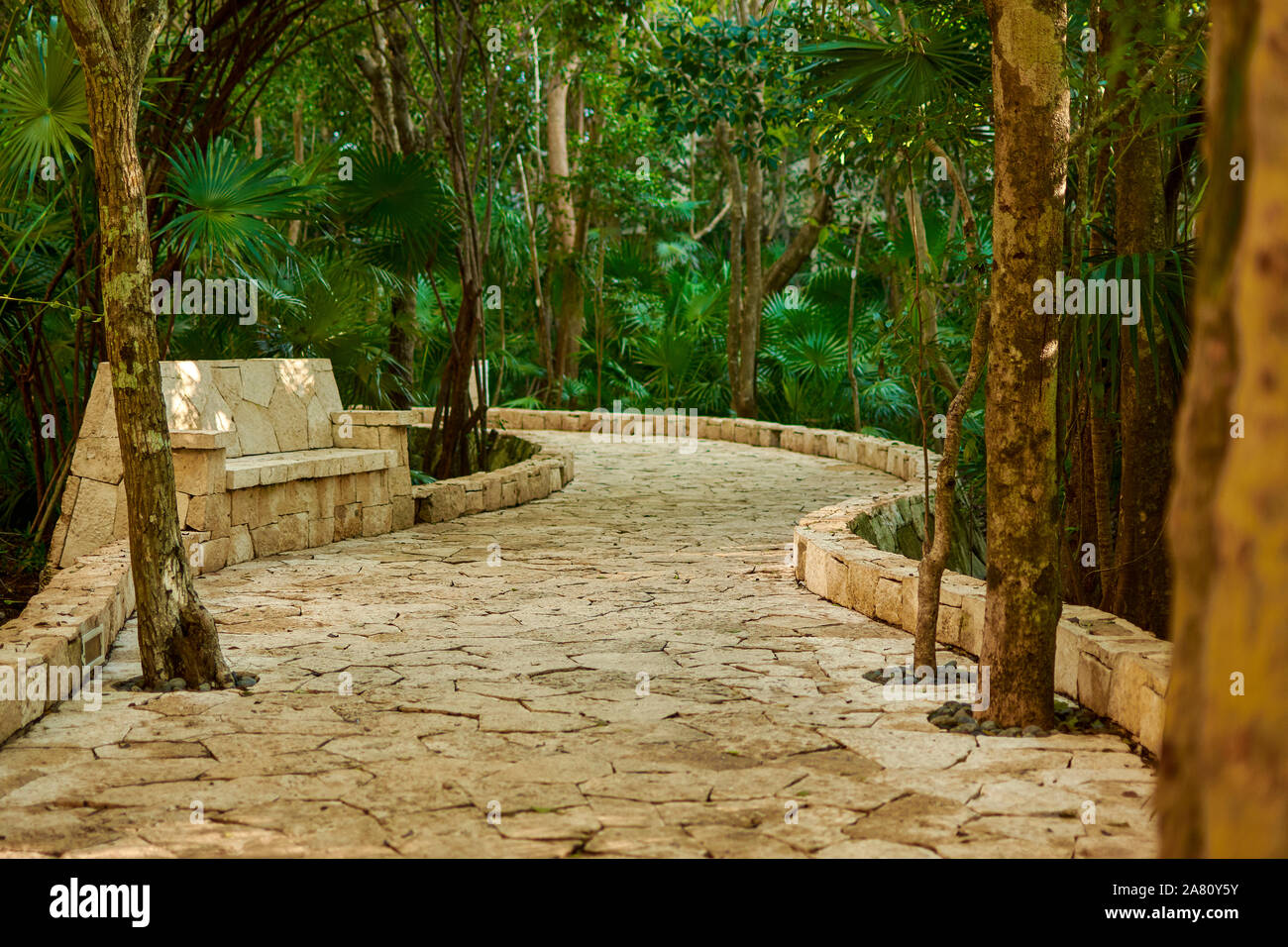 Walkway through the tropical forest Stock Photo - Alamy