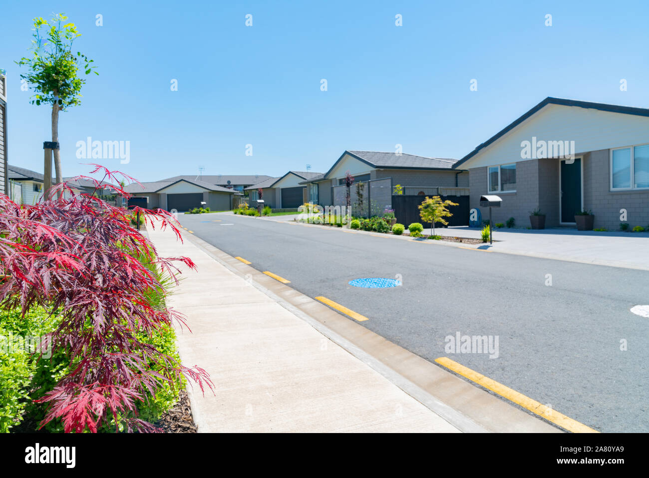 New subdivision street with uniform homes and front gardens lining both ...