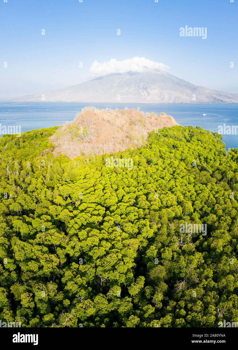 Lembata island ecology hi-res stock photography and images - Alamy
