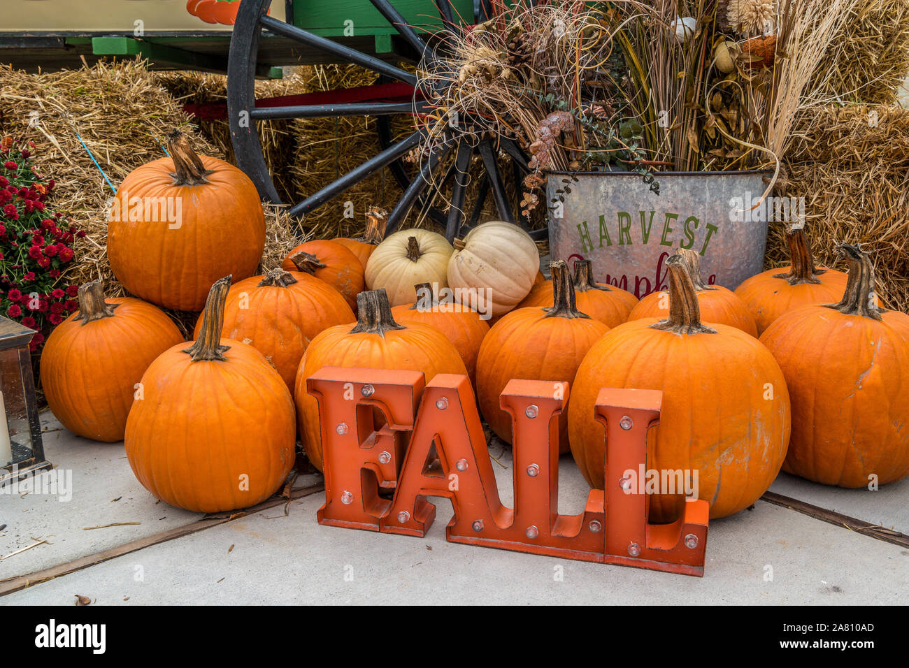 A wagon wheel with dried fall flowers and pumpkins with hay bales and a ...