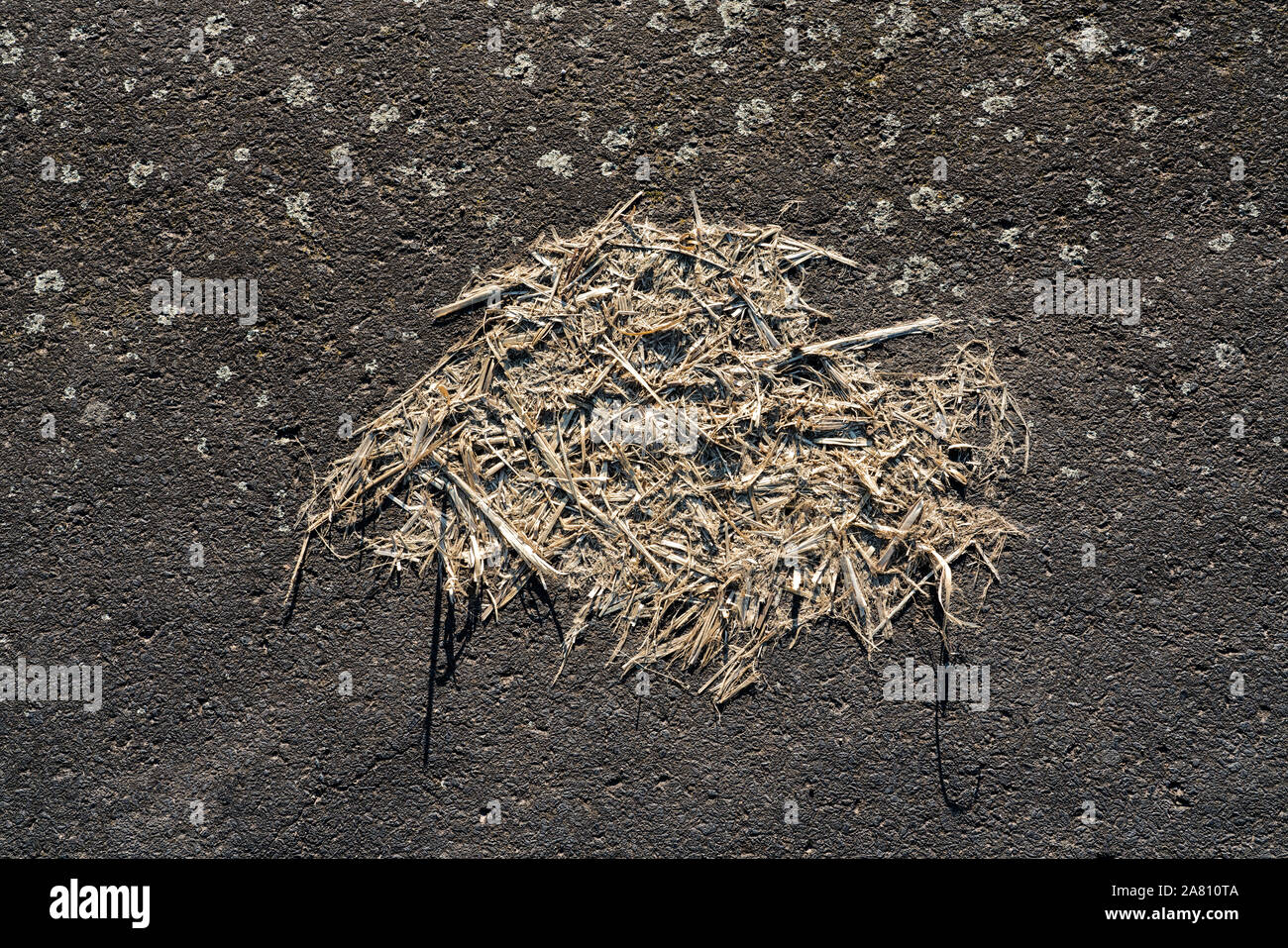 straw, old asphalt pavement Stock Photo - Alamy