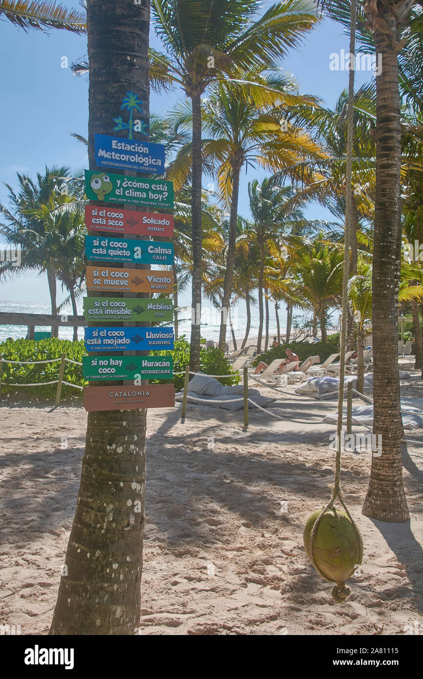 Sign attached to the trunk of a palm tree Stock Photo - Alamy