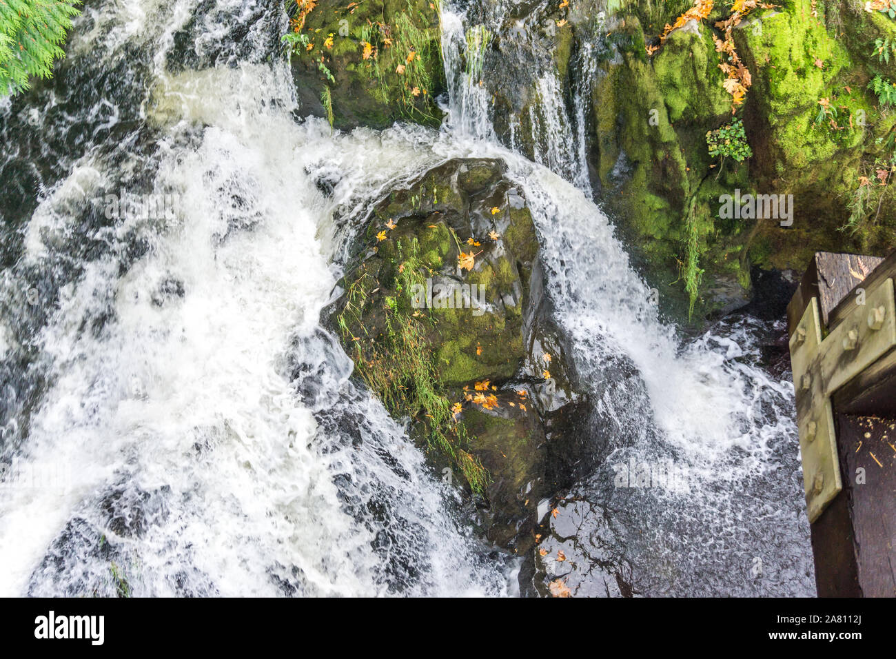 Tumwater falls park hi-res stock photography and images - Alamy
