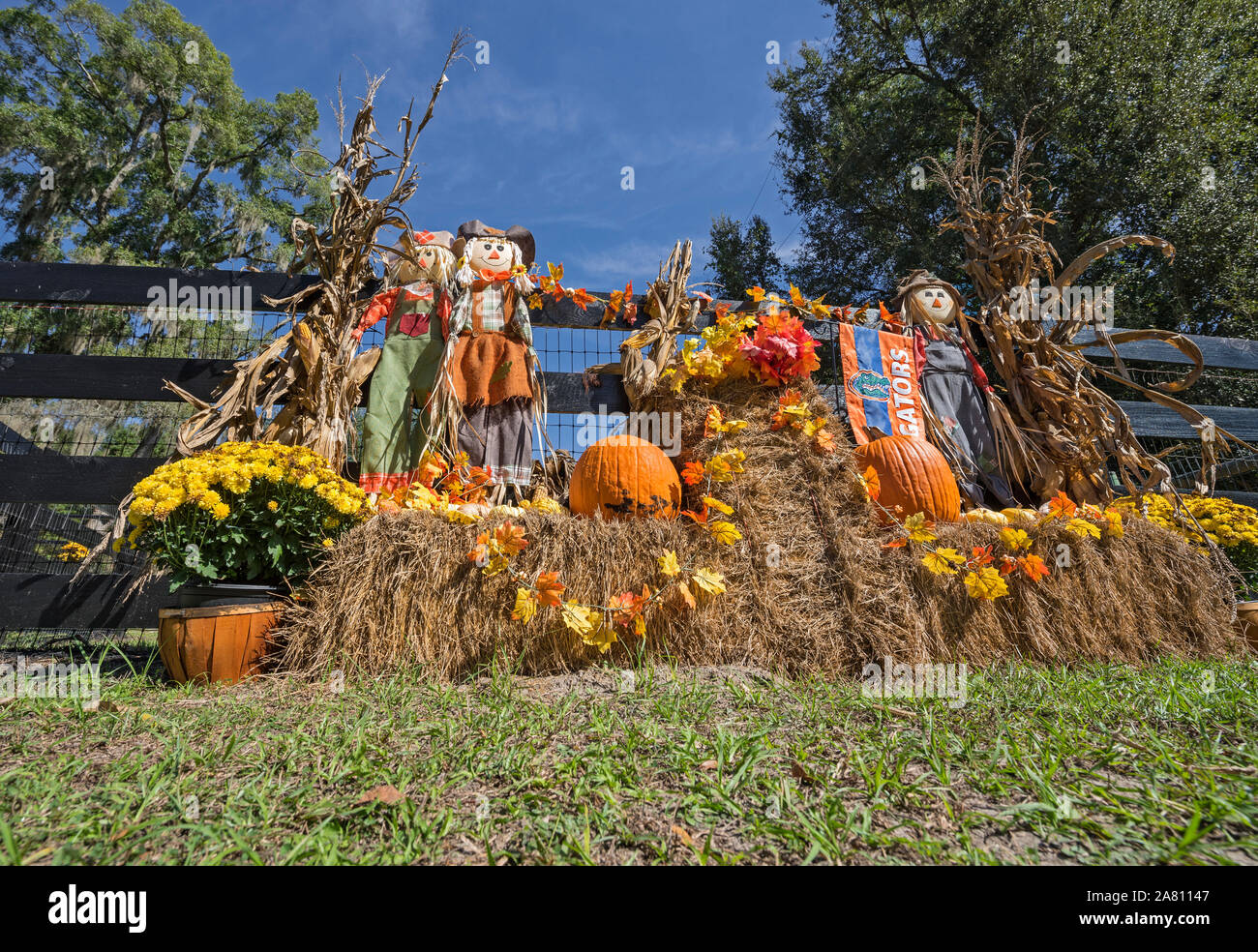 Fall harvest display at a local farm in North Central Florida Stock ...