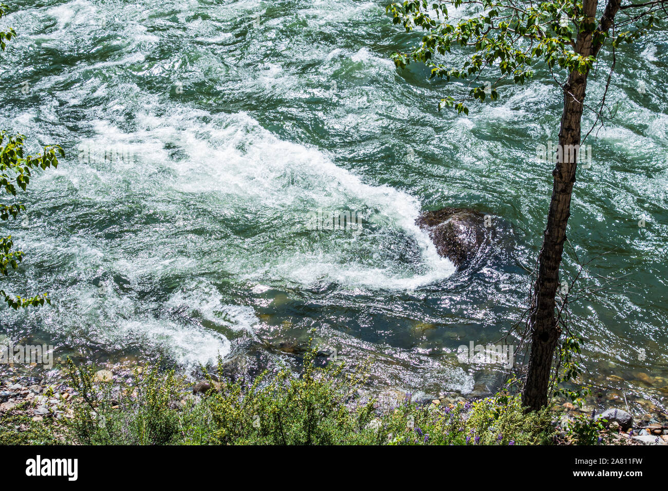 A river rapid on the Methow River near Mazama, Washington, USA Stock ...