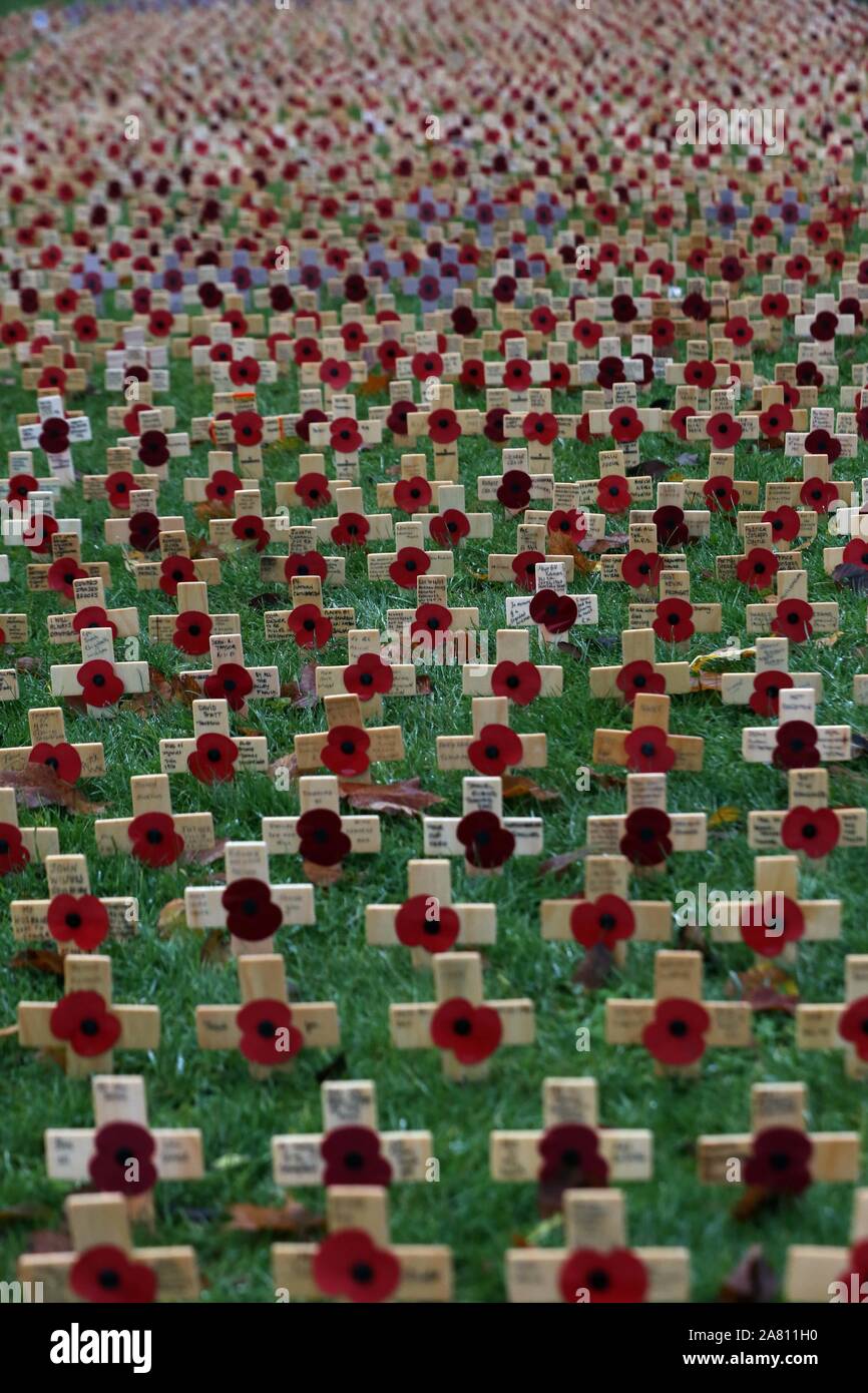 Poignant remembrance day respect traditions tribute hi-res stock ...