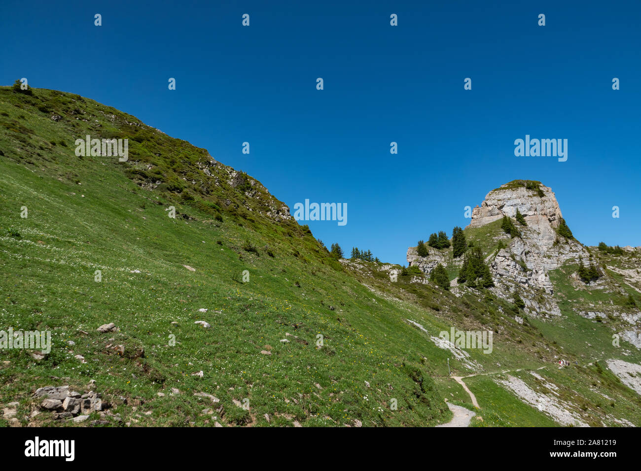 Beautiful schynige platte hi-res stock photography and images - Alamy