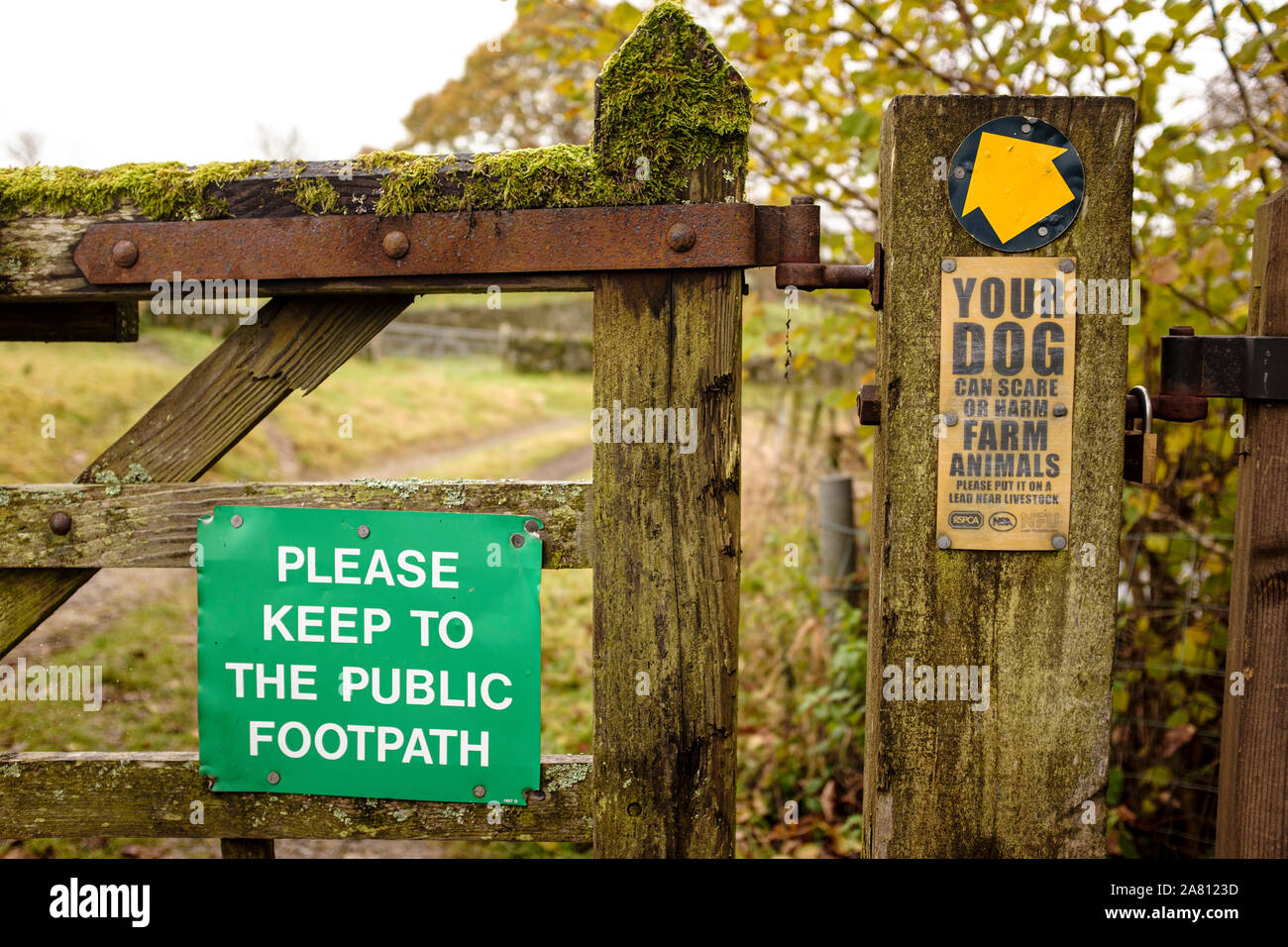 Dog walking regulation sign hi-res stock photography and images - Alamy