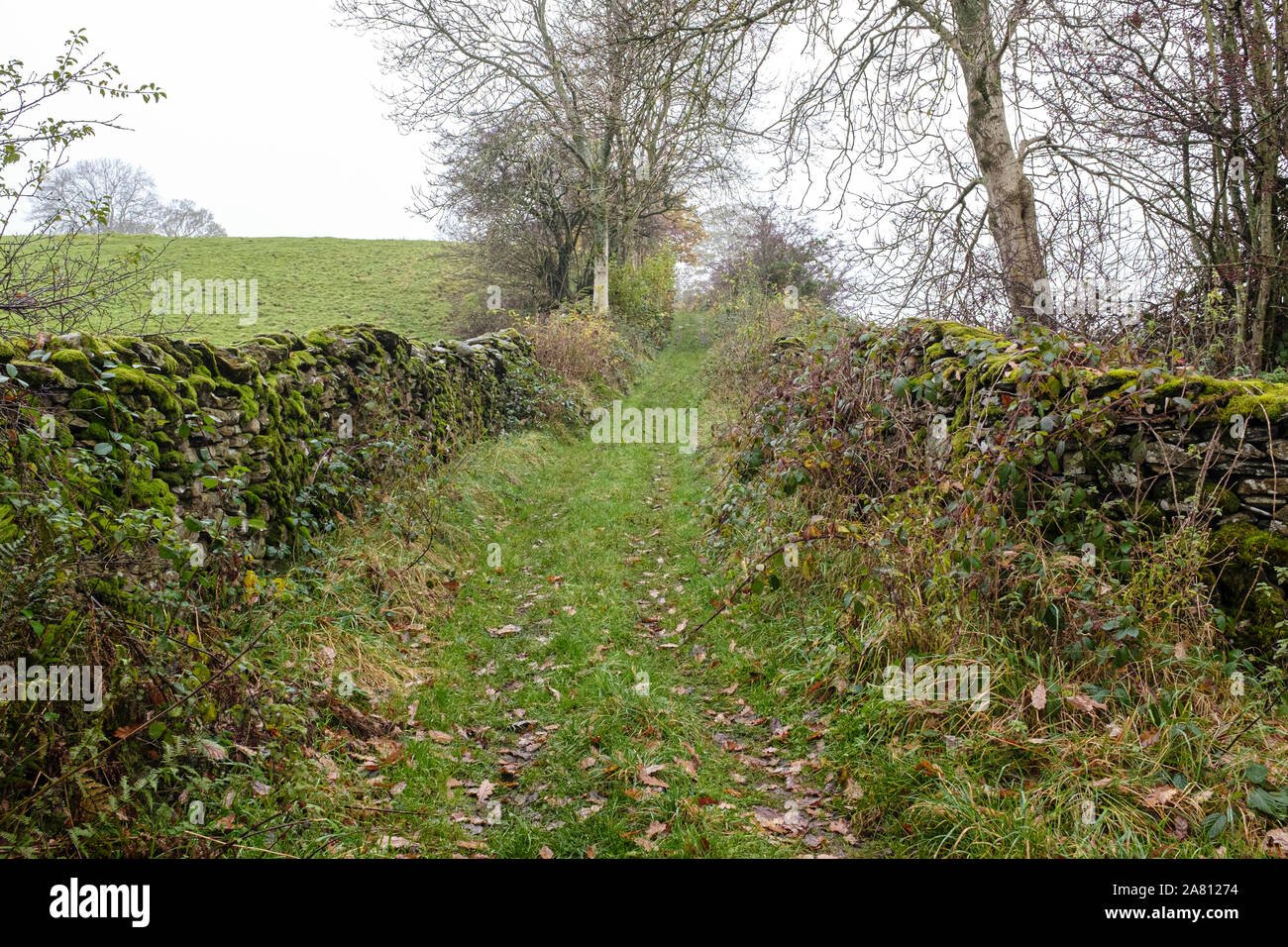 Overgrown footpath uk hi-res stock photography and images - Alamy