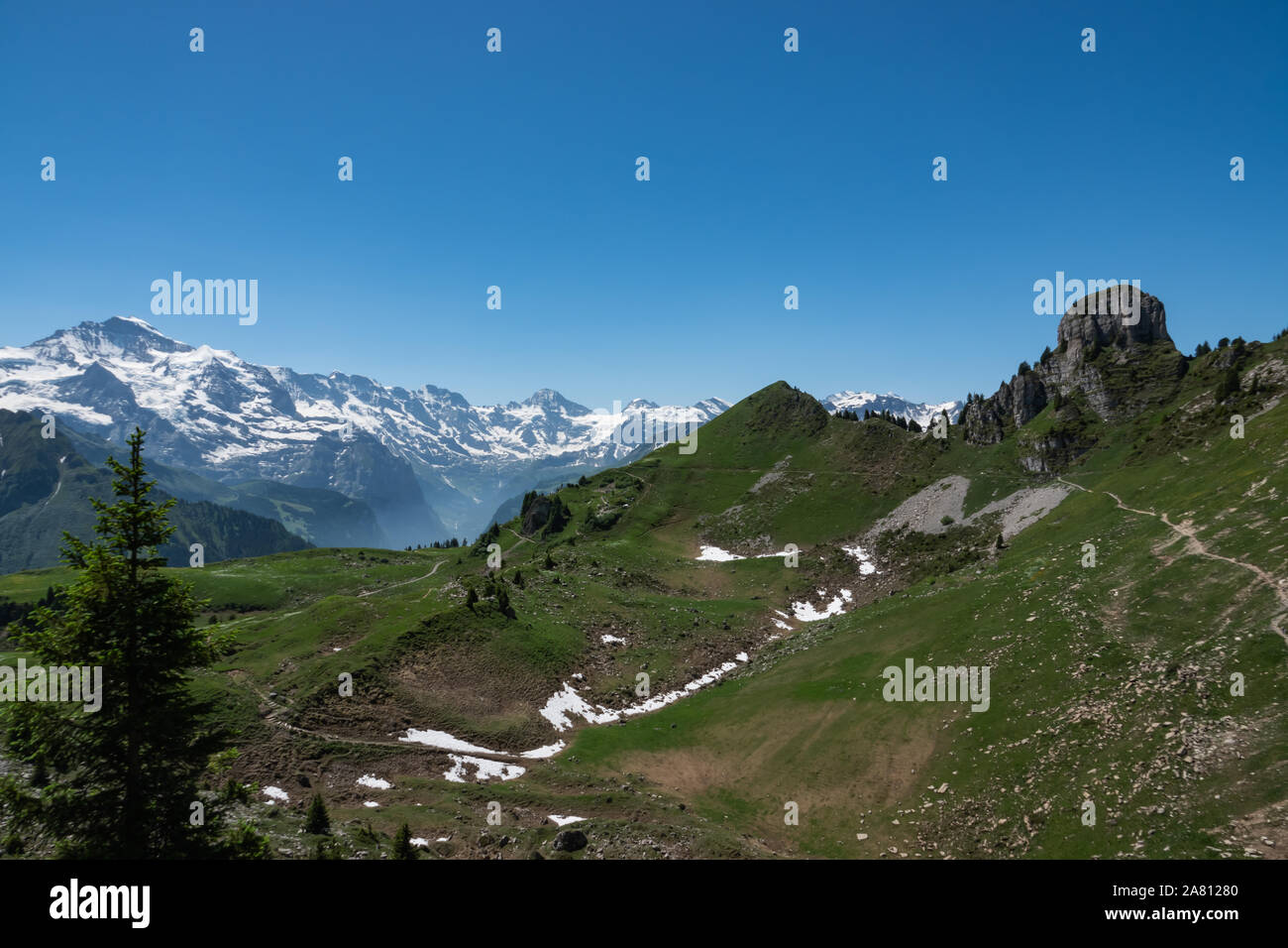 Beautiful schynige platte hi-res stock photography and images - Alamy