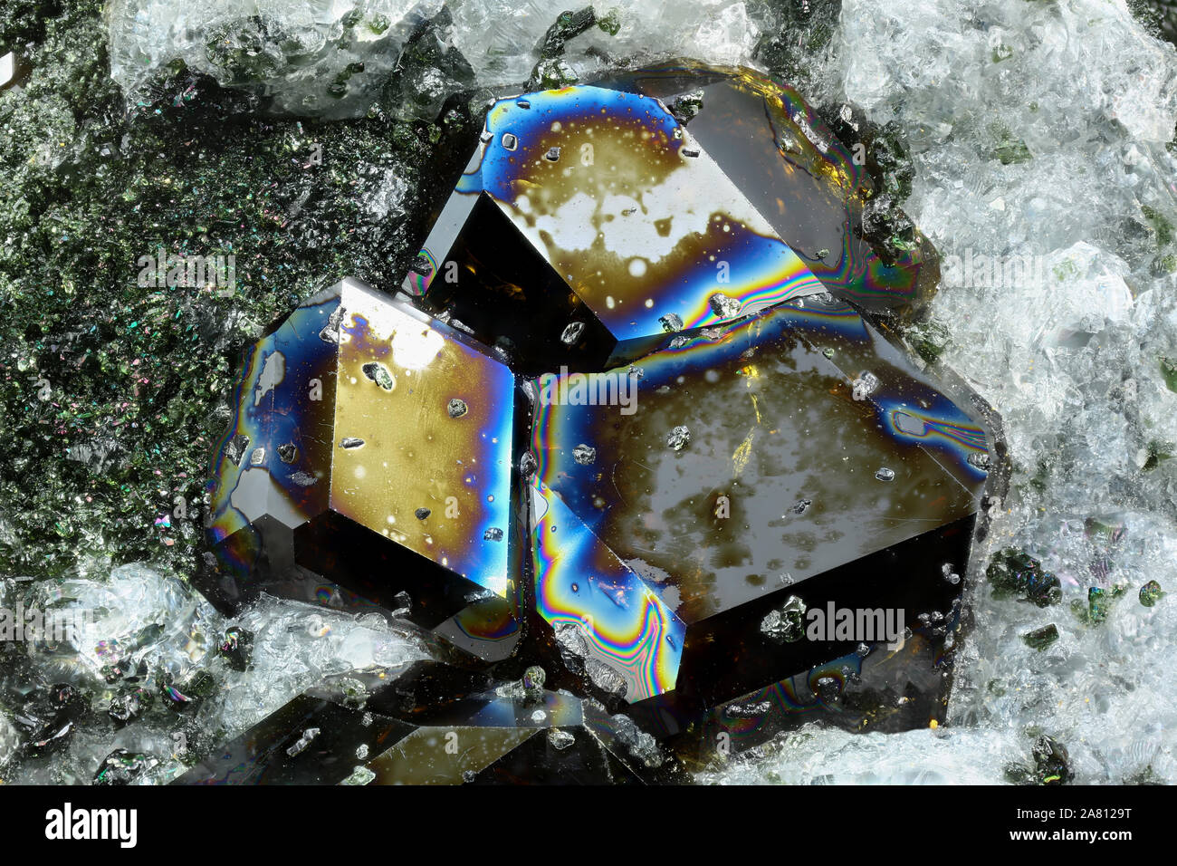 Pollena trocchia hi-res stock photography and images - Alamy