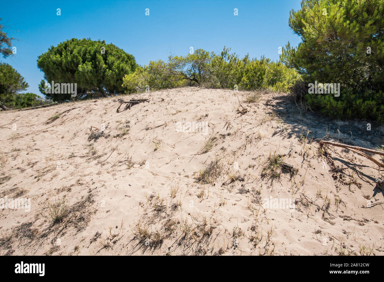 Sandy slope hi-res stock photography and images - Alamy