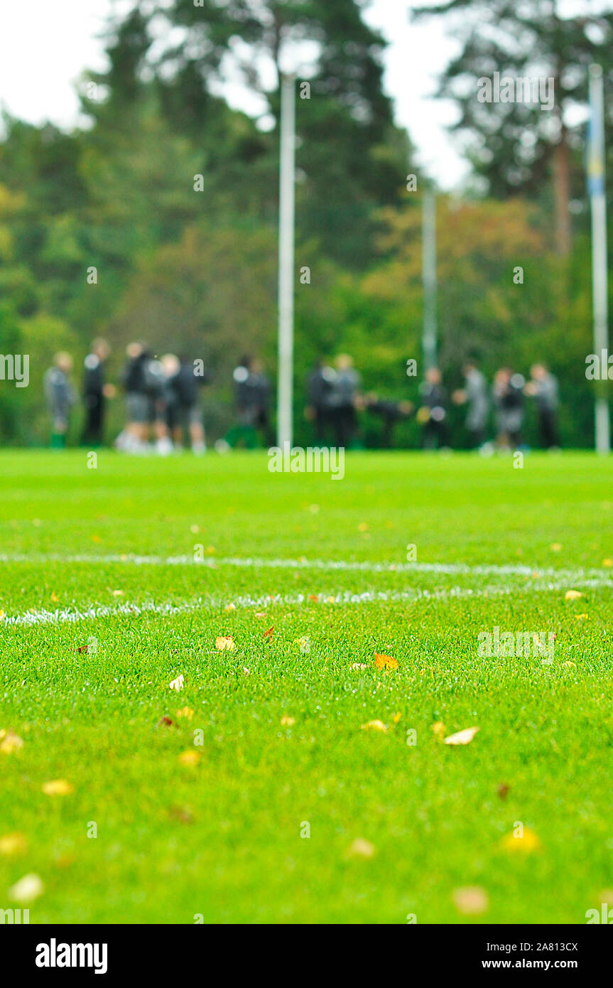 Practise leaves hi-res stock photography and images - Alamy