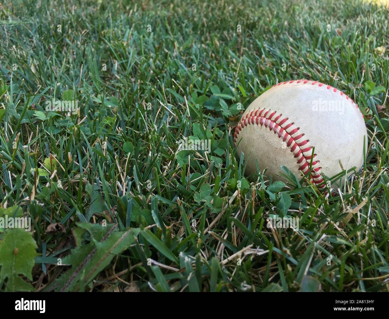 Closeup field sports hi-res stock photography and images - Alamy