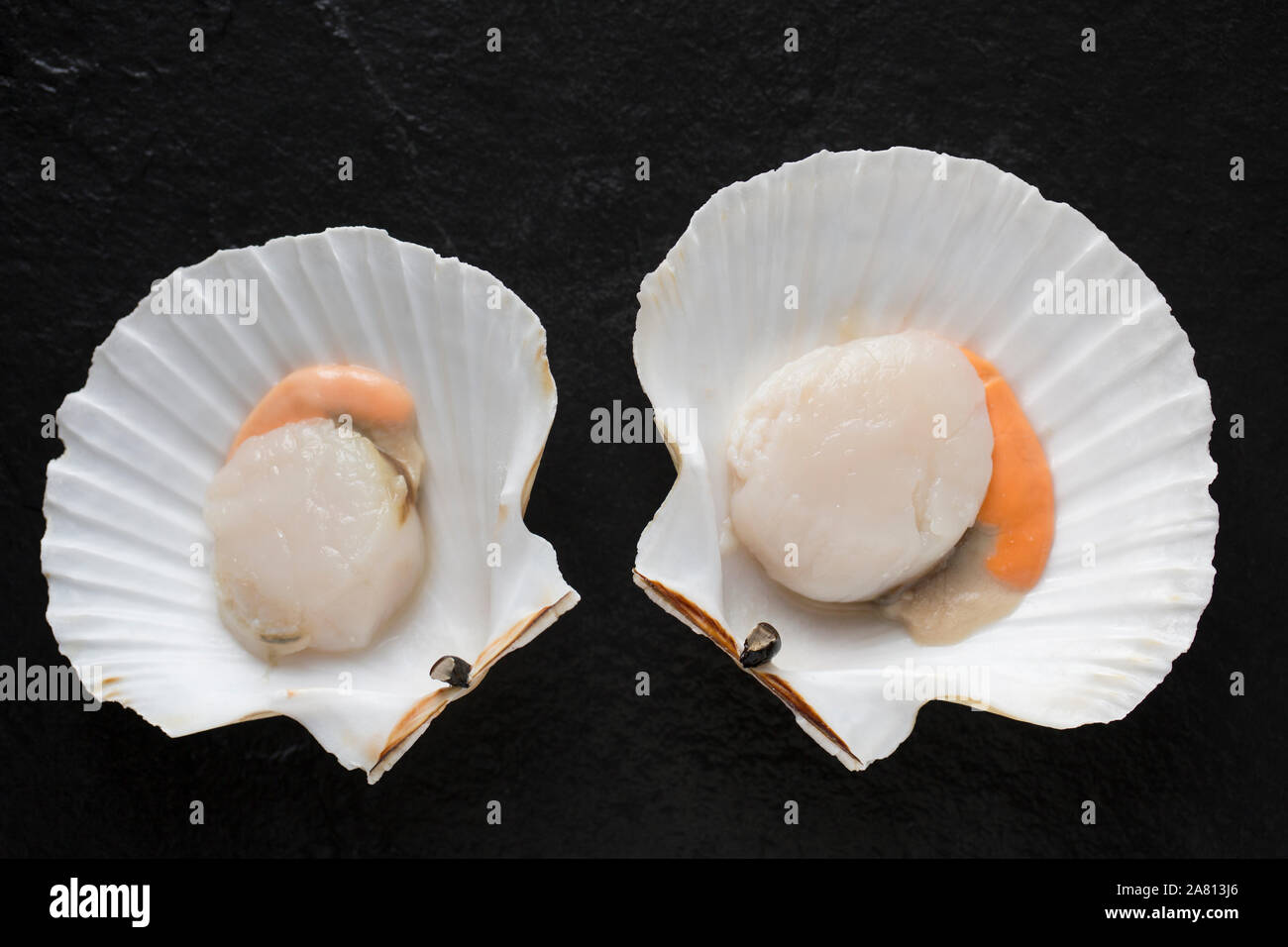Uncooked scallop hi-res stock photography and images - Alamy