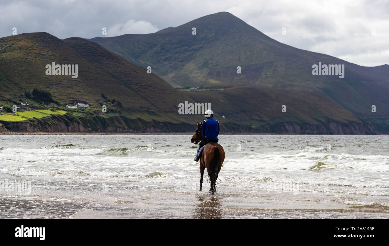 Horse riding on rossbeigh beach in County Kerry, scenic west of Ireland ...