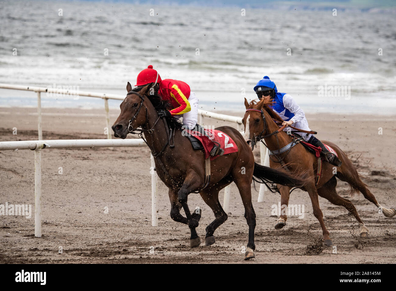 Horses racing on the beach , West coast of Ireland Stock Photo - Alamy