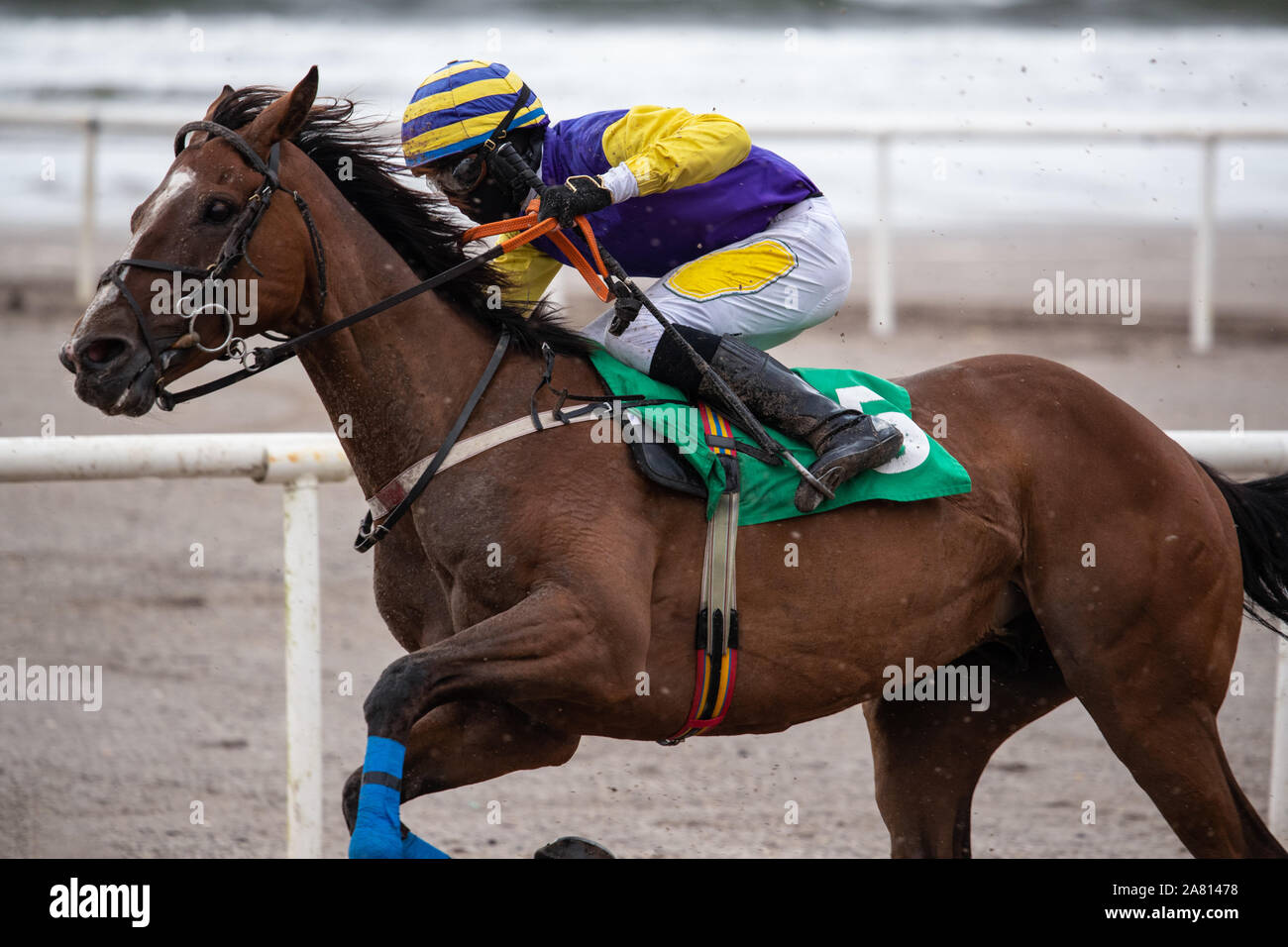 Close up on Race horse and jockey racing, Horse racing action on the ...
