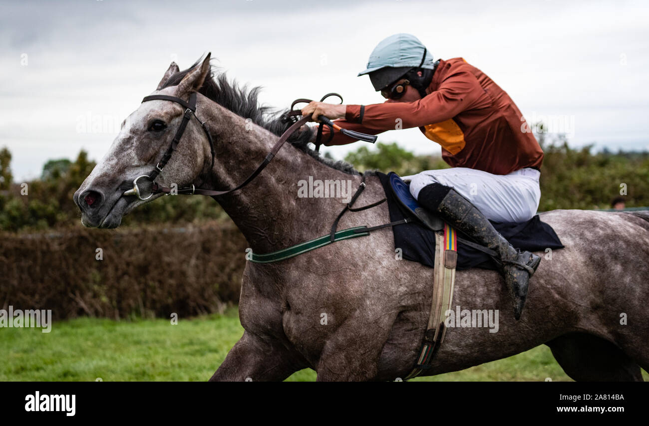 Jockey and horse detail hi-res stock photography and images - Alamy