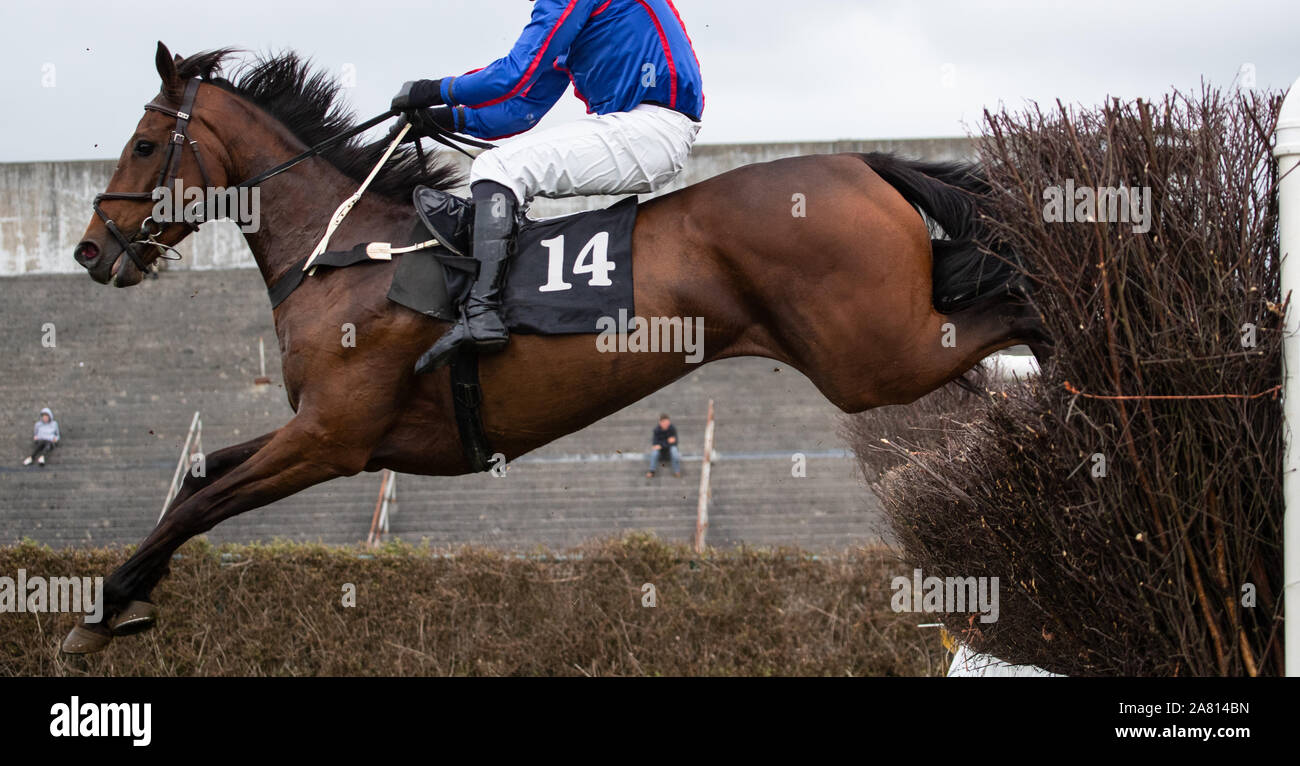 Race horse jumping a hurdle on the race track Stock Photo - Alamy