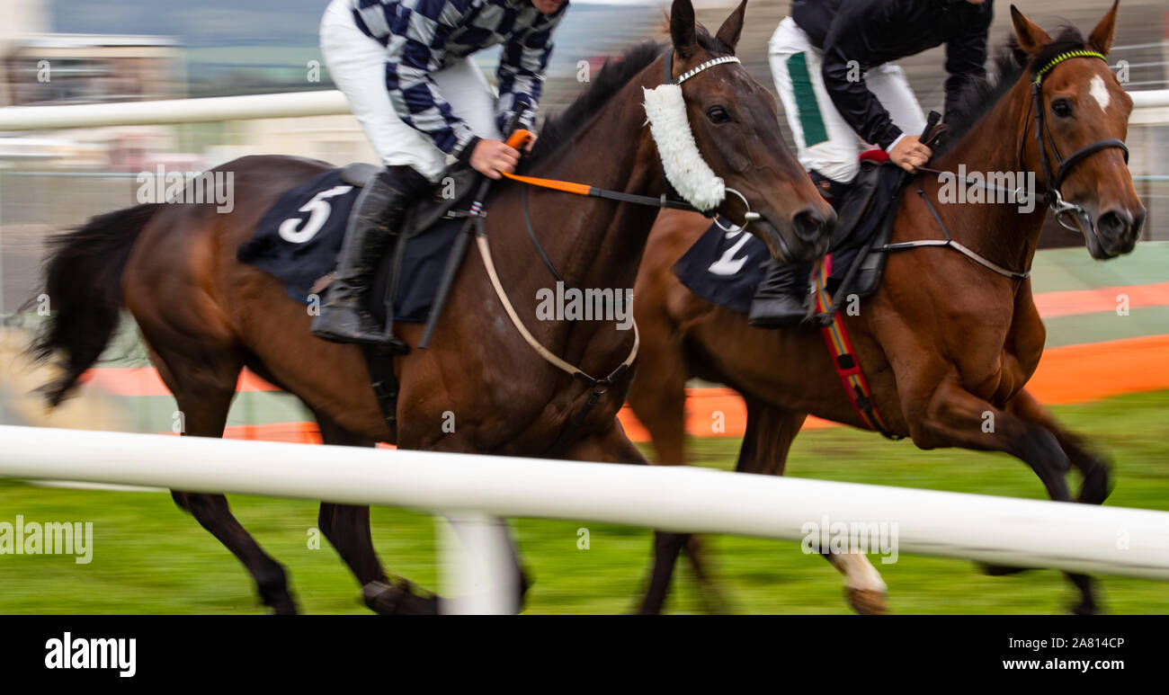 Motion blur horse racing action, two race horses galloping at speed ...