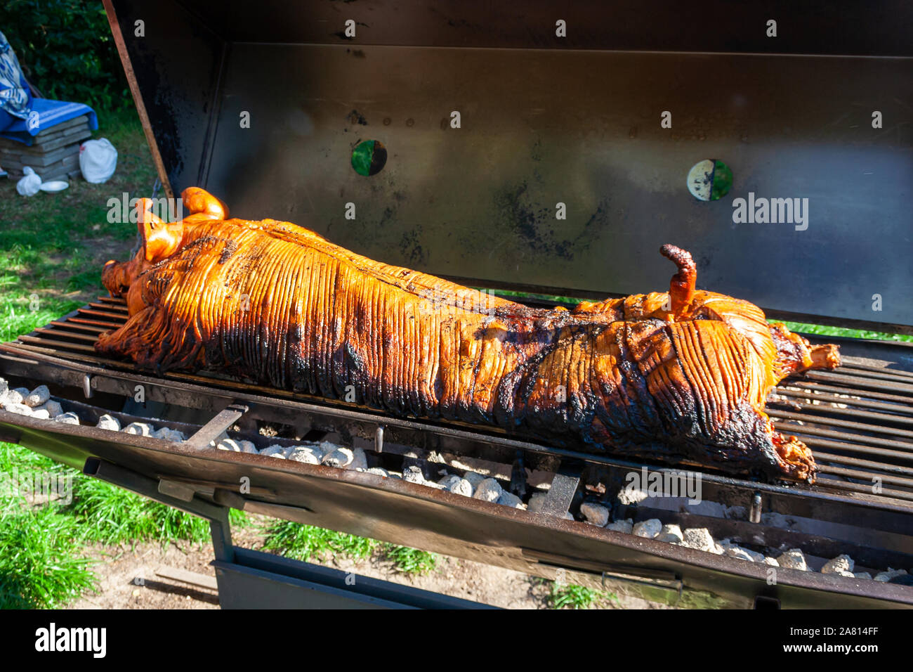 Whole roasted suckling pig on an outdoor barbecue Stock Photo - Alamy