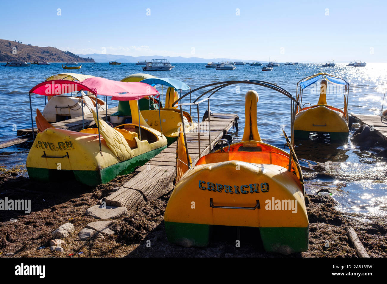 Animal shaped boats in Copacabana beach, Bolivia Stock Photo - Alamy