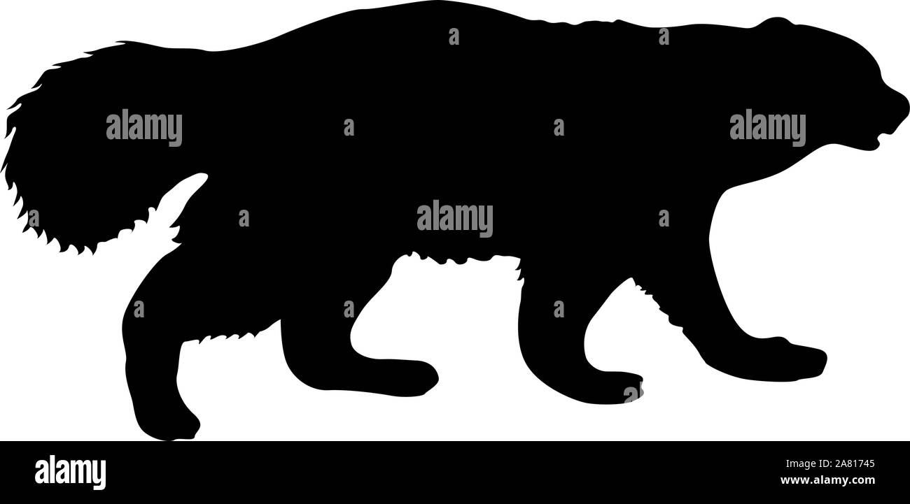 Silhouette of Wolverine on a white background Stock Vector Image & Art ...