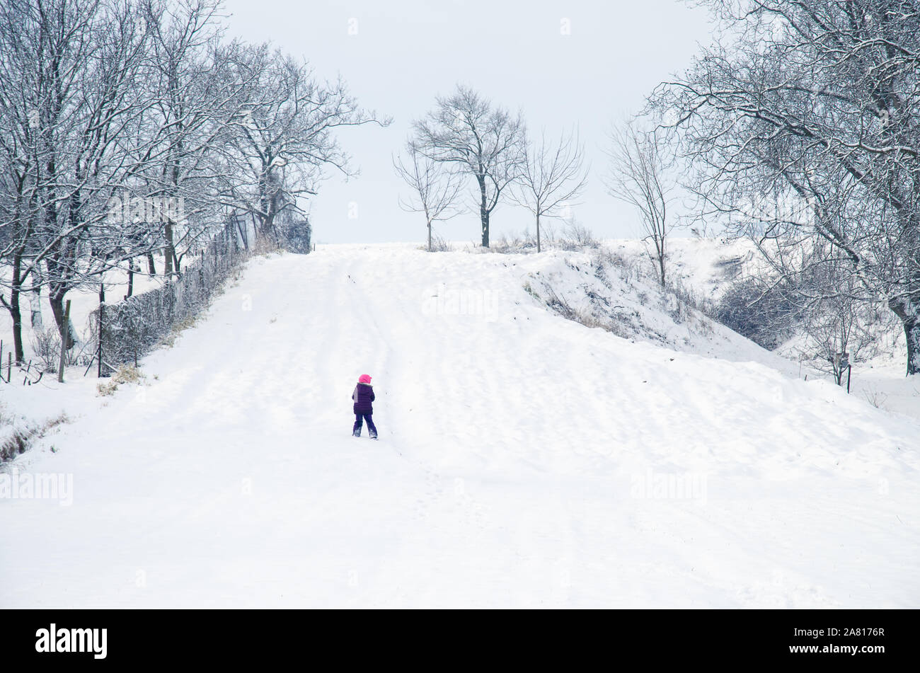 winter scenery in the countryside Stock Photo - Alamy