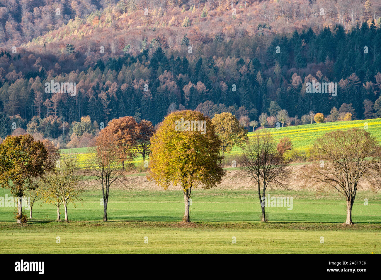 Solling hills hi-res stock photography and images - Alamy