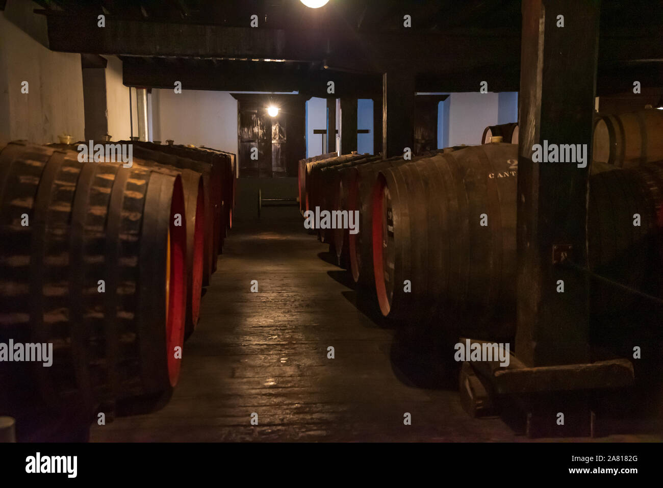Wine barrels stored inside the Madeira wine caves, showcasing the ...