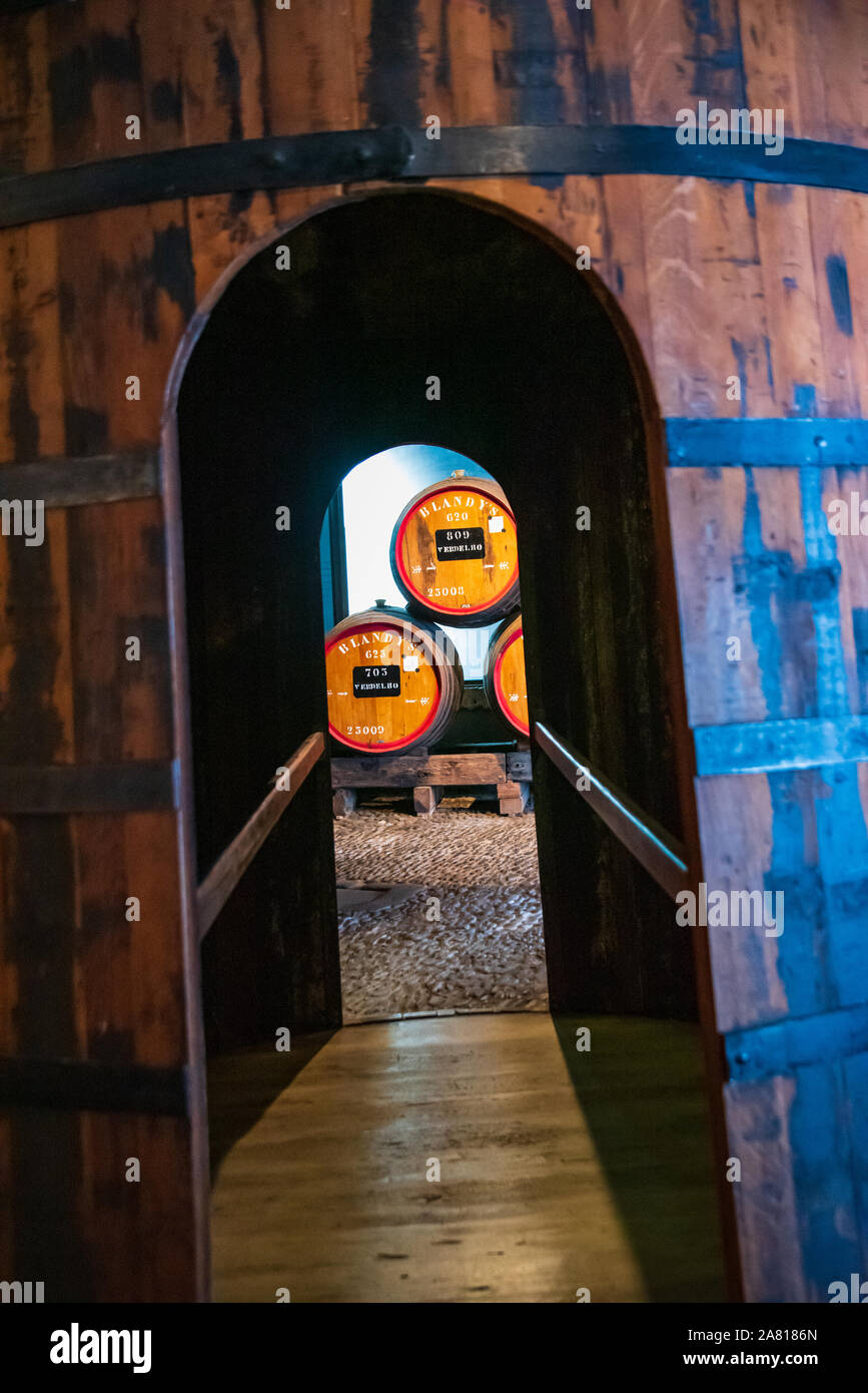 Wine barrels stored inside the Madeira wine caves, showcasing the ...