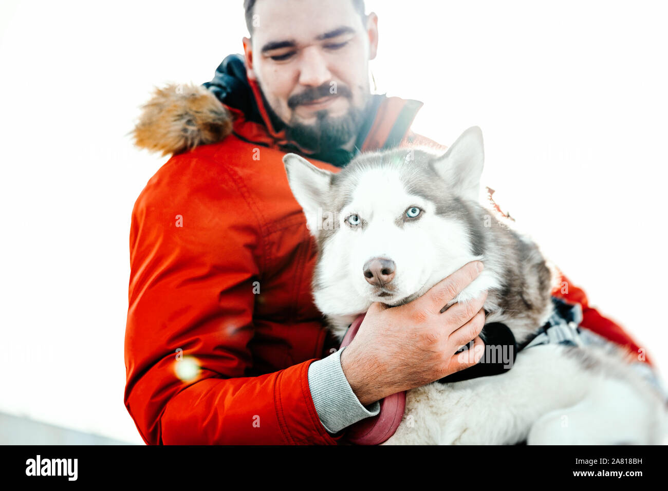 Man hugging siberian husky hi-res stock photography and images - Alamy