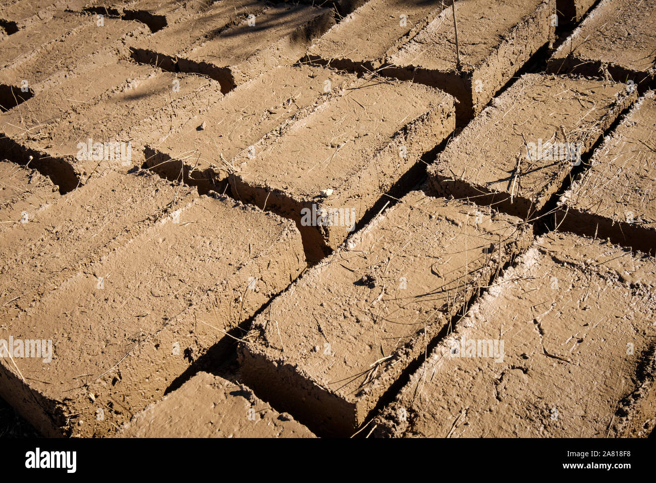 Adobe bricks drying out in the sun at Island of the Sun in Lake ...