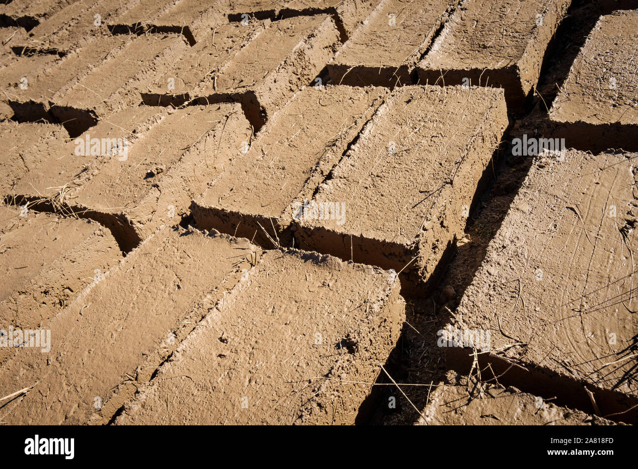 Making adobe bricks hi-res stock photography and images - Alamy