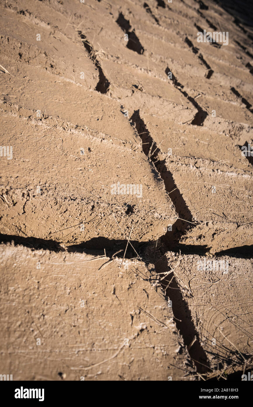 Adobe bricks drying out in the sun at Island of the Sun in Lake ...