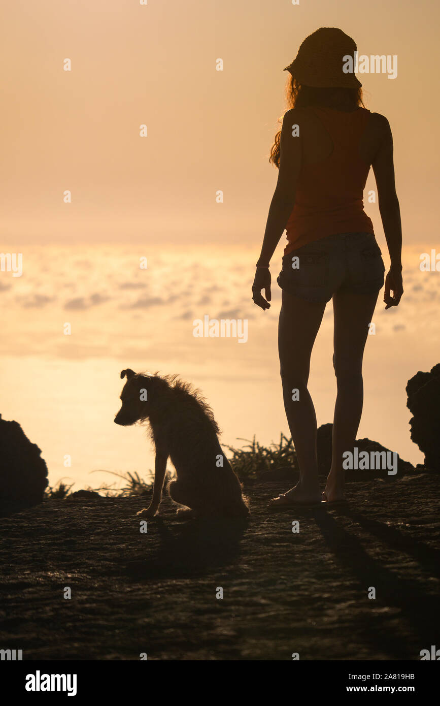 Pet silhouette sunset hi-res stock photography and images - Alamy