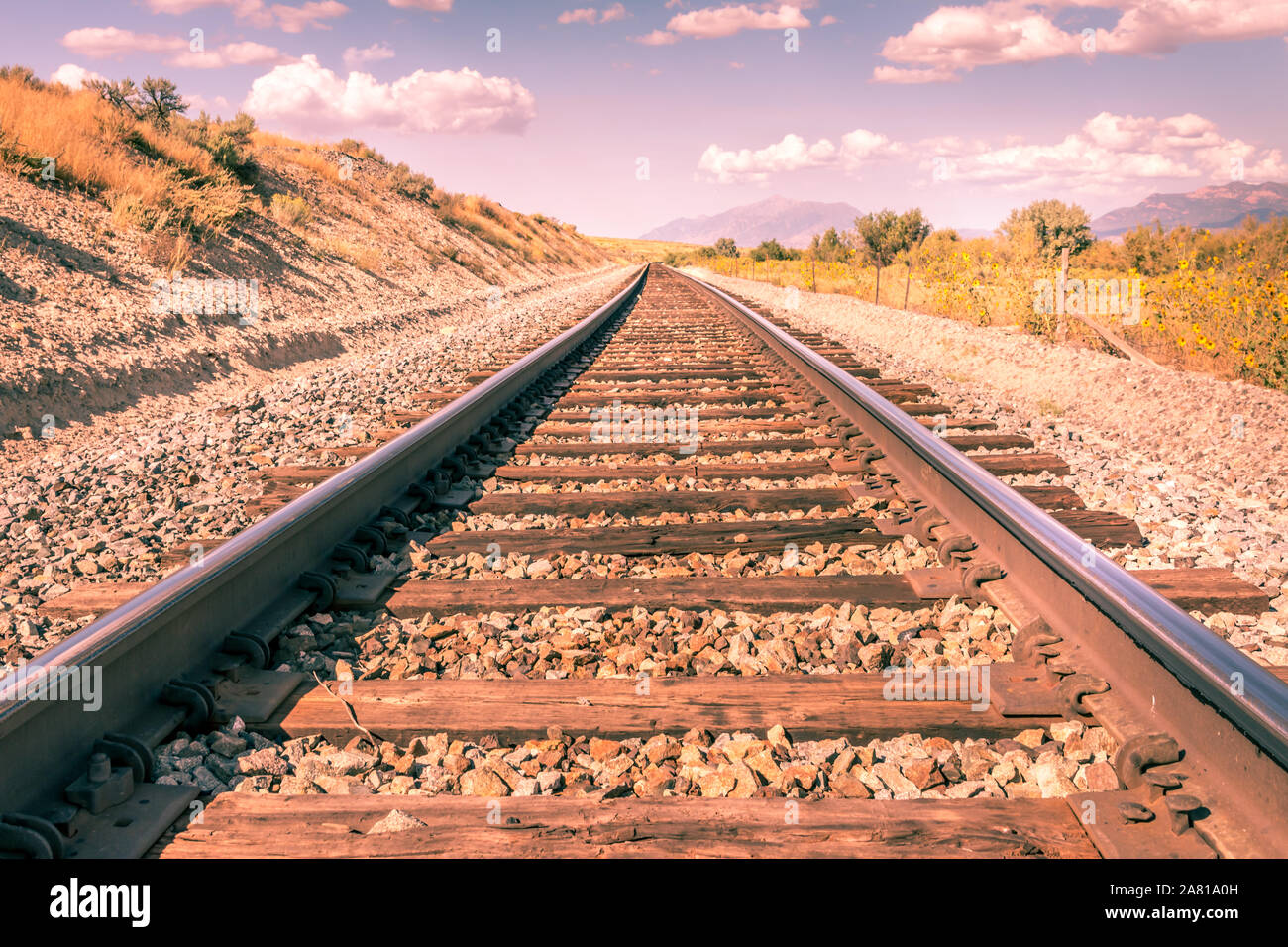 Straight railroad track in Utah, USA - the way forward Stock Photo - Alamy