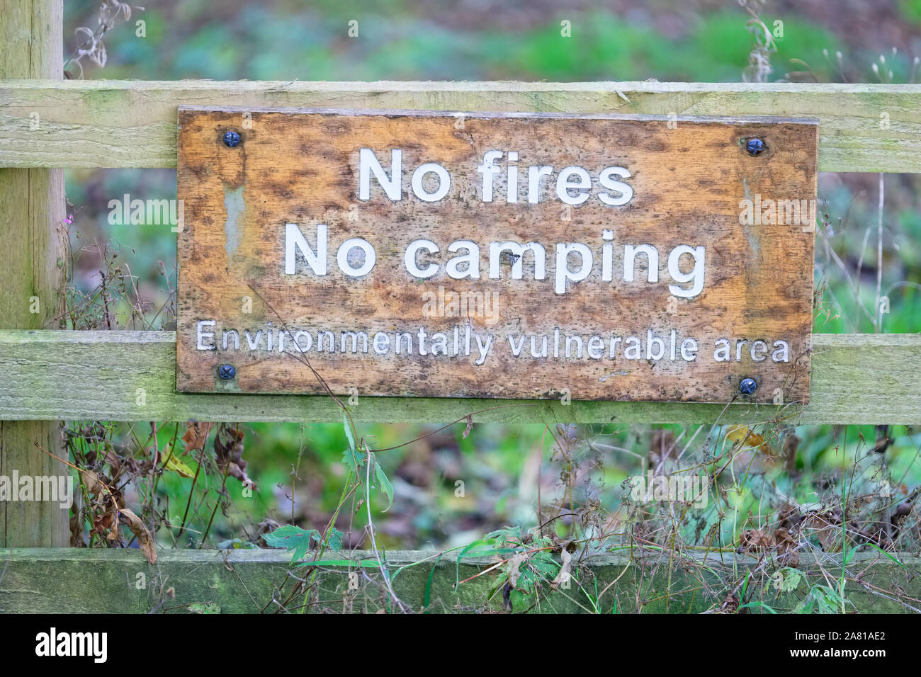 No fires and camping sign in Lake District England UK Stock Photo - Alamy
