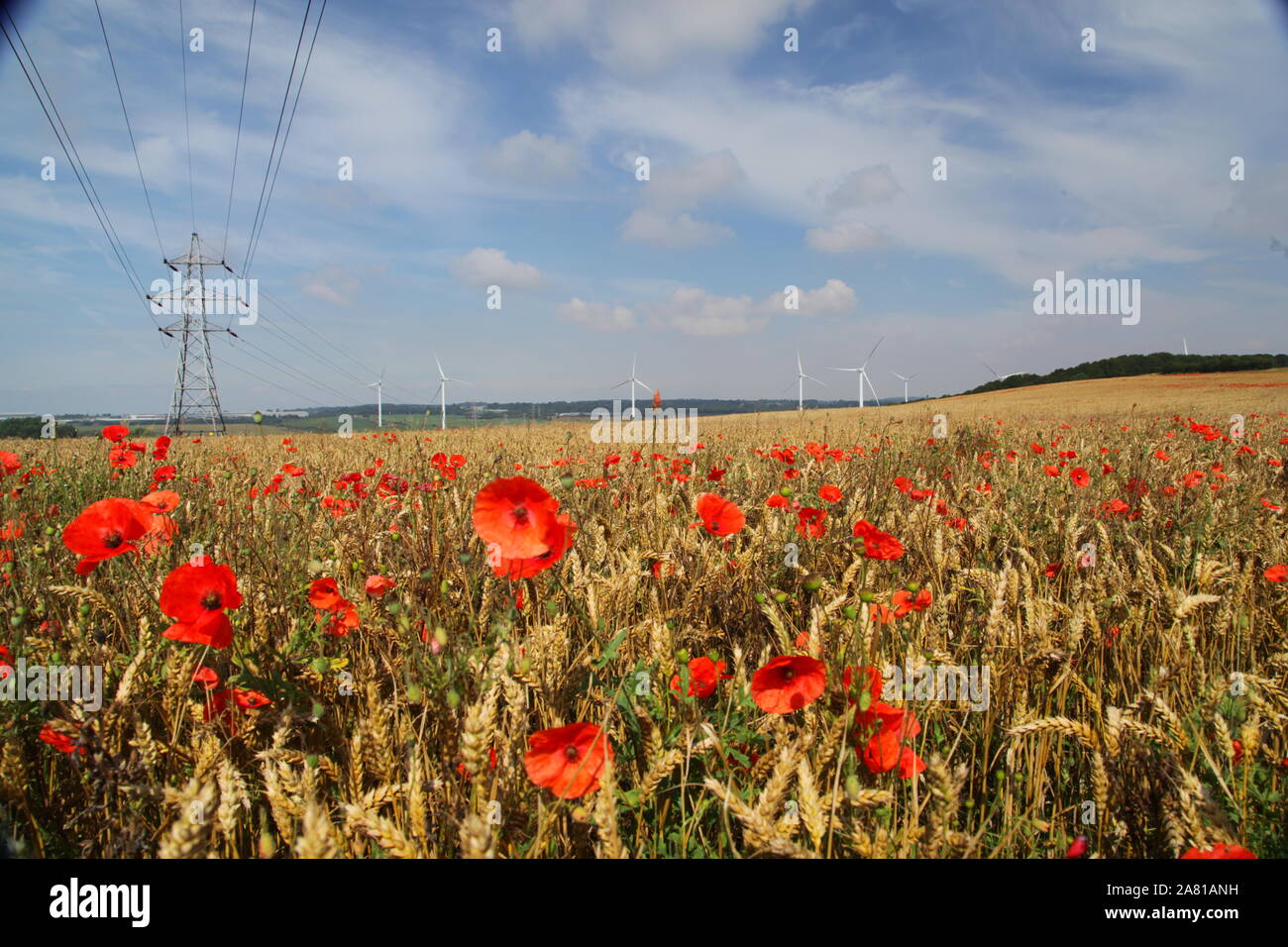 Gas victims ww1 hi-res stock photography and images - Alamy