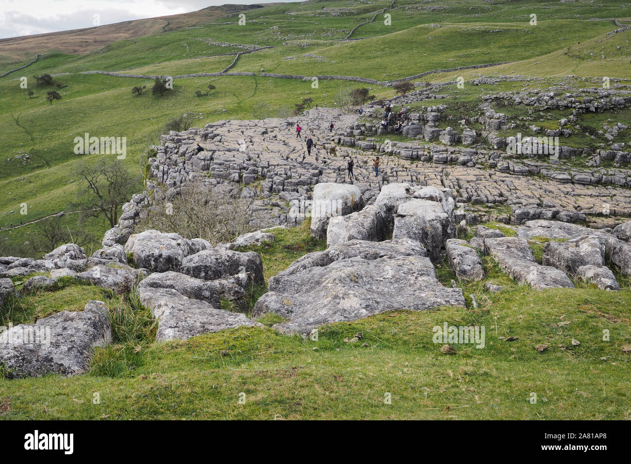 Limestone pavement high above Malham Cove against green fields and dry ...