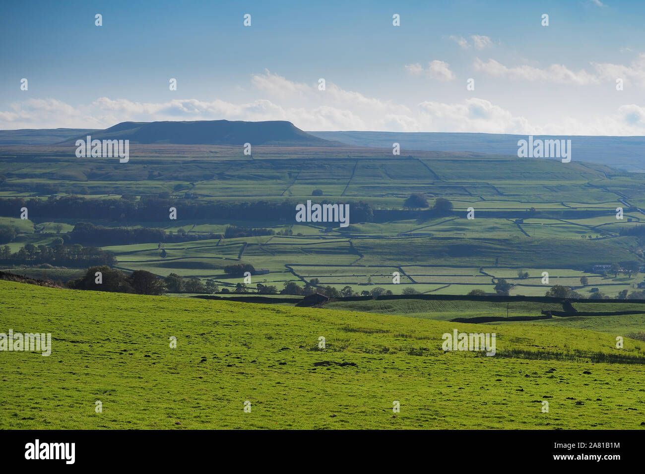View over Wensleydale and Addlebrough hill, near Askrigg, Yorkshire ...
