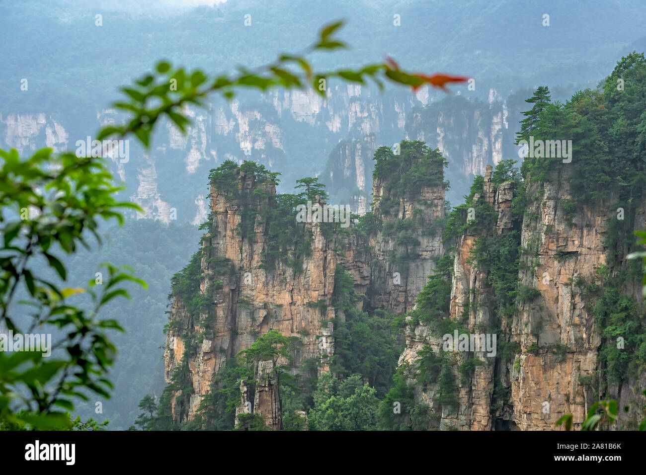 View from the scenic platform lookout of the stone pillars of Tianzi ...